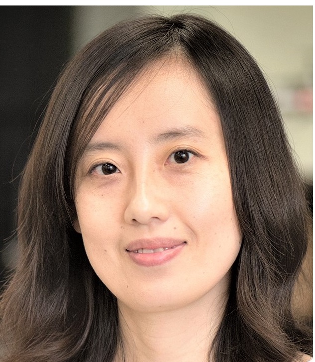 Cyber-Physical Cloud Systems - IEEE SMC